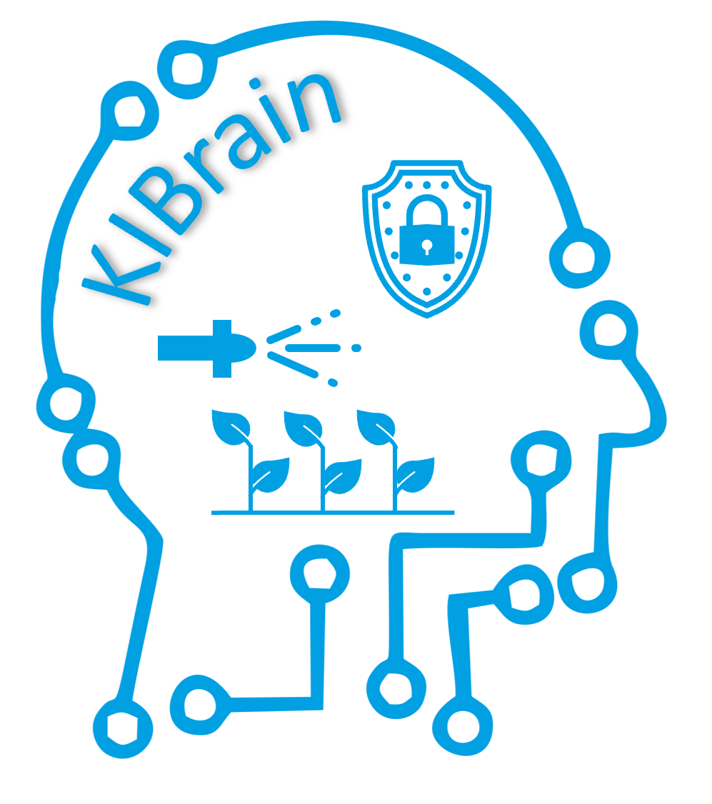 KIBrain – INBW